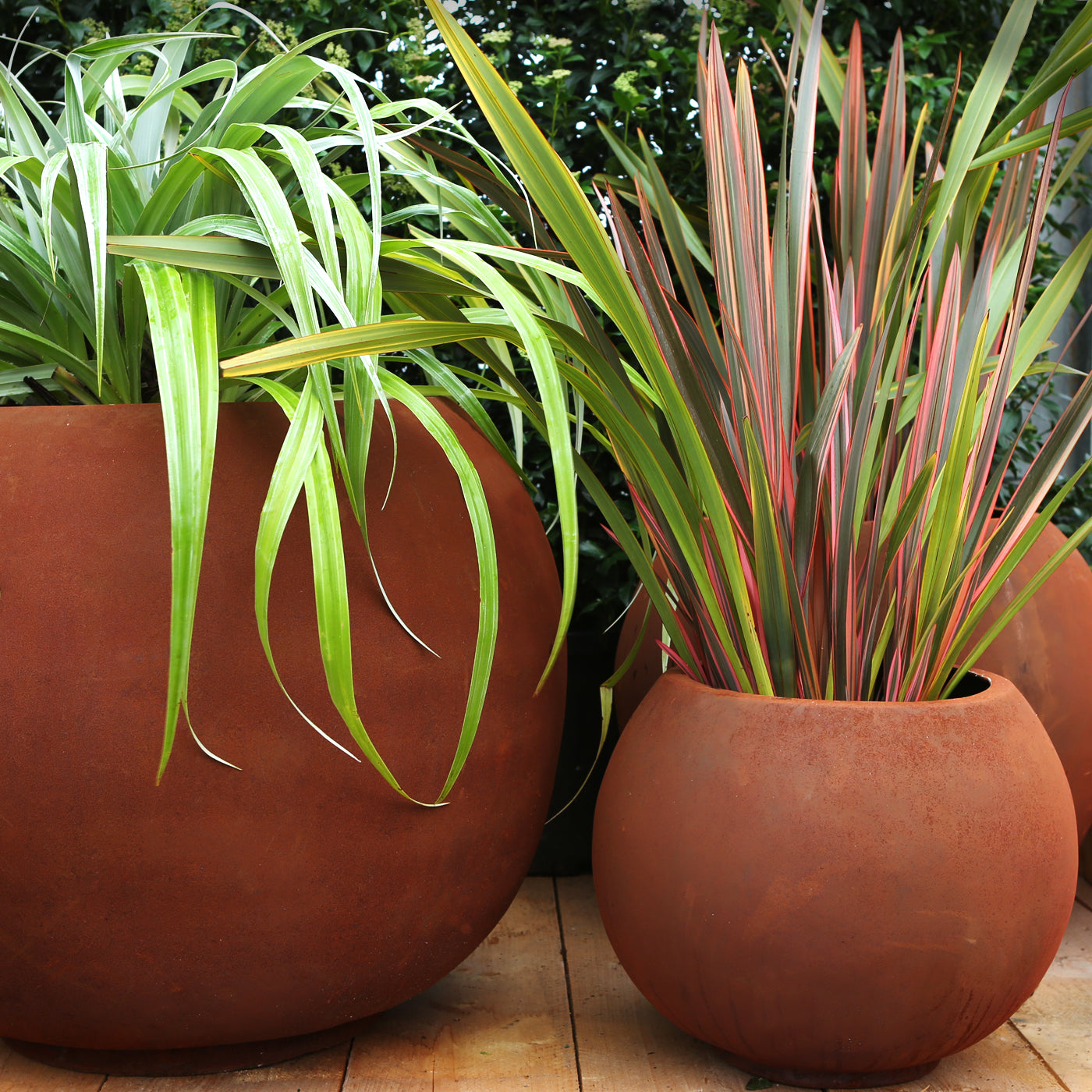 Rustique® - Spray on Rust Paint Kit (4 sqmt) – Creative Paints Ltd